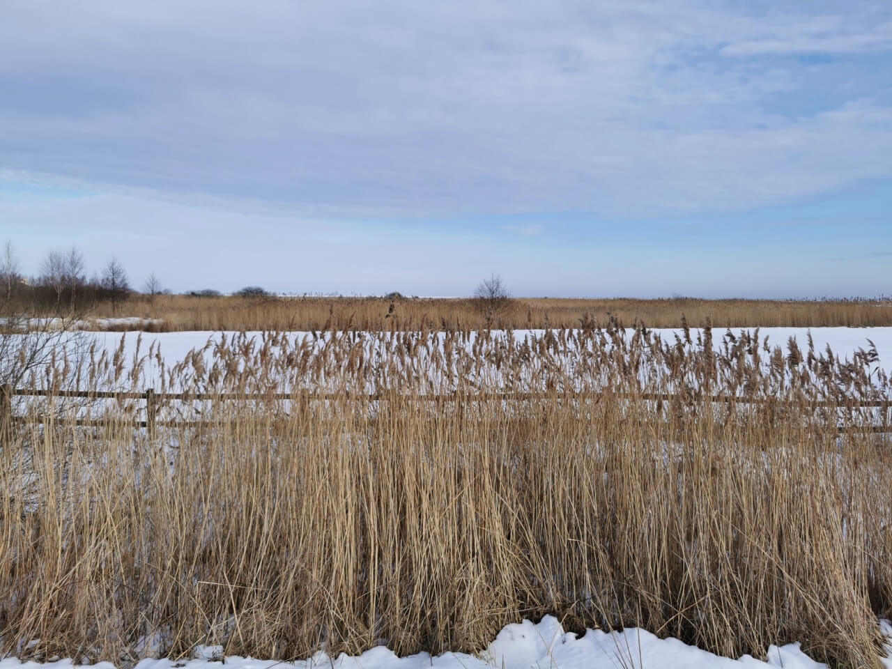 Rezerwat Przyrody Beka - Znalezione na mapie